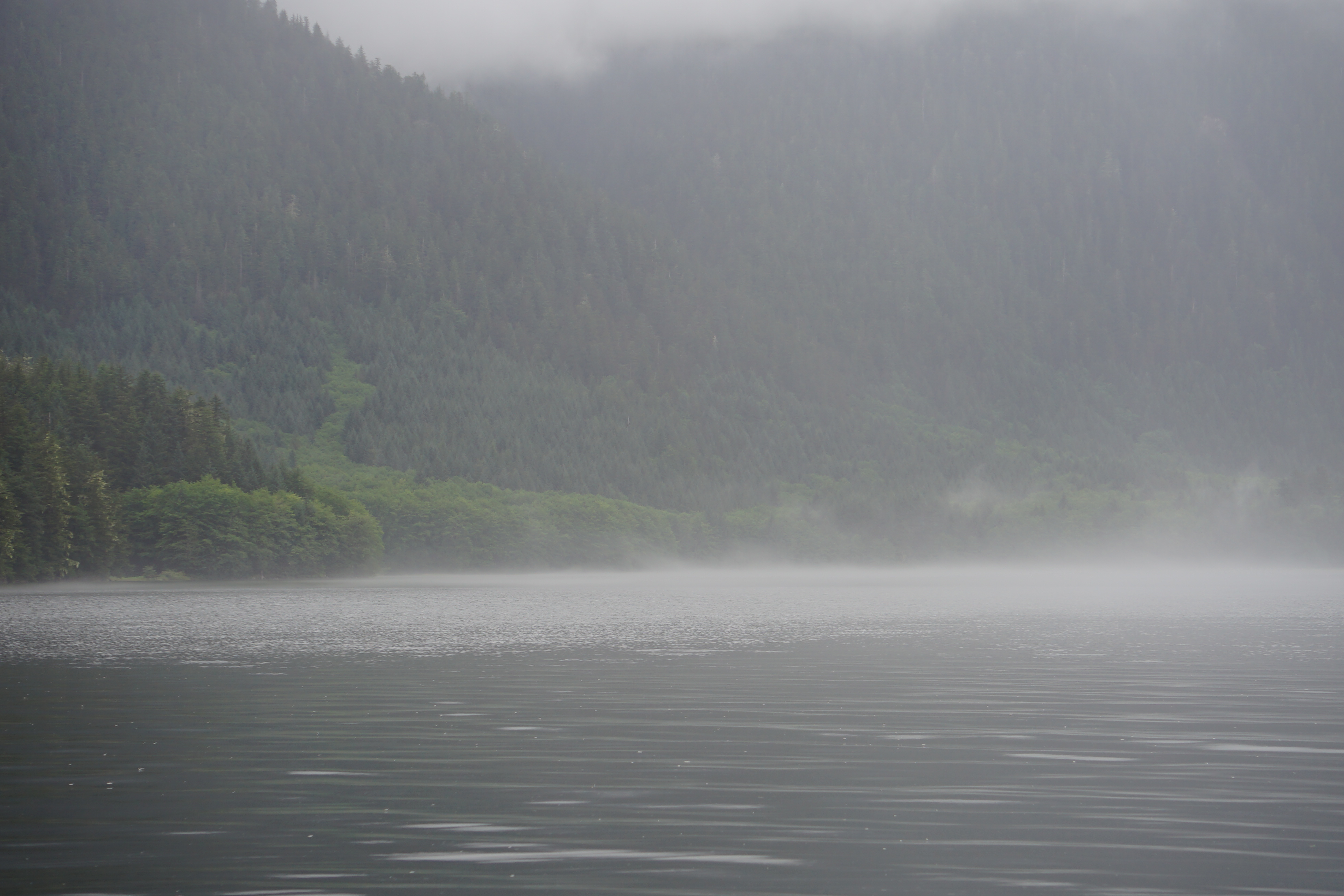 katlian bay in early september; it is a rainforest, it does as it is ...