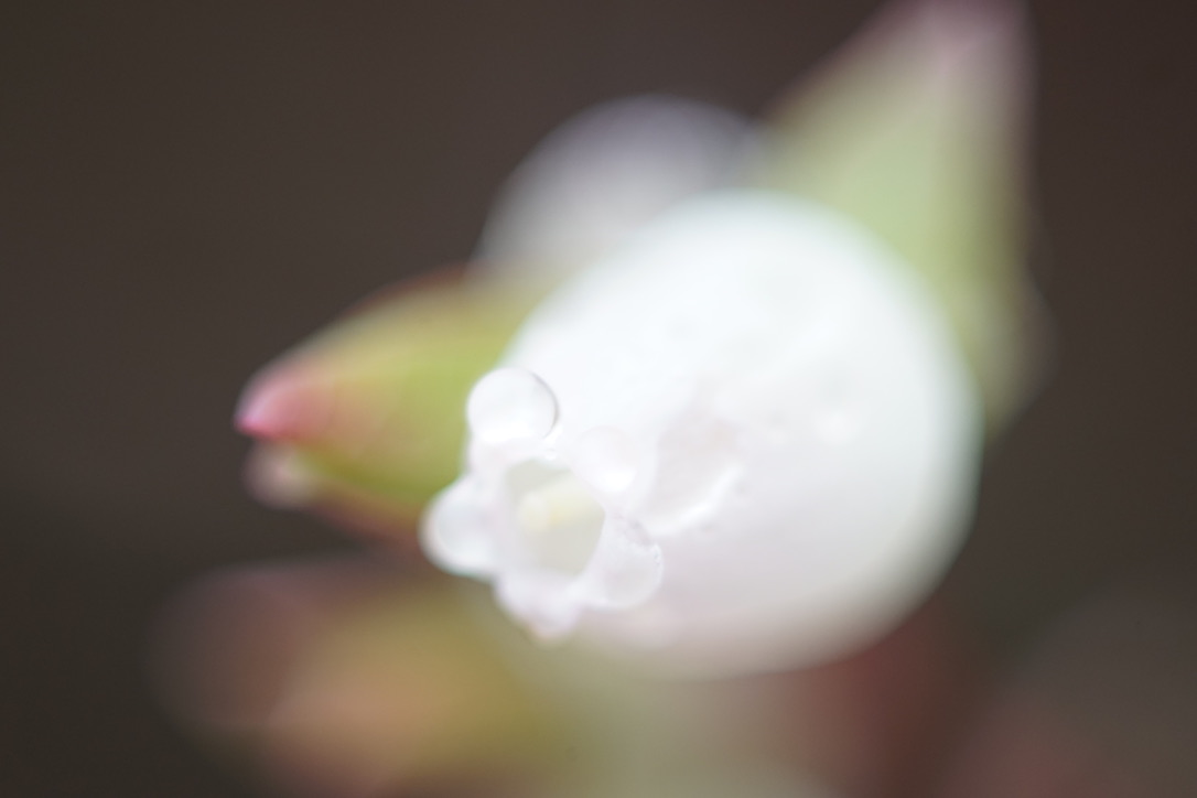 beyond our sight, we wonder if we are still there – zakschafer.com